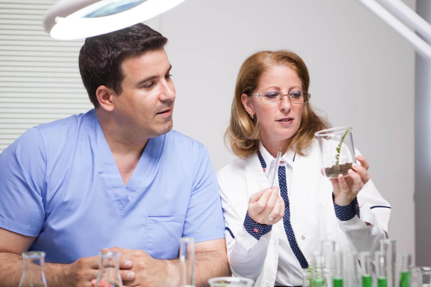 The Entourage Effect – Nature Med Dispensary